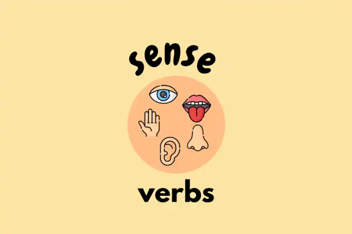 Mengenal Verb of Sense, Lengkap dengan Definisi dan Contoh Kalimatnya ...