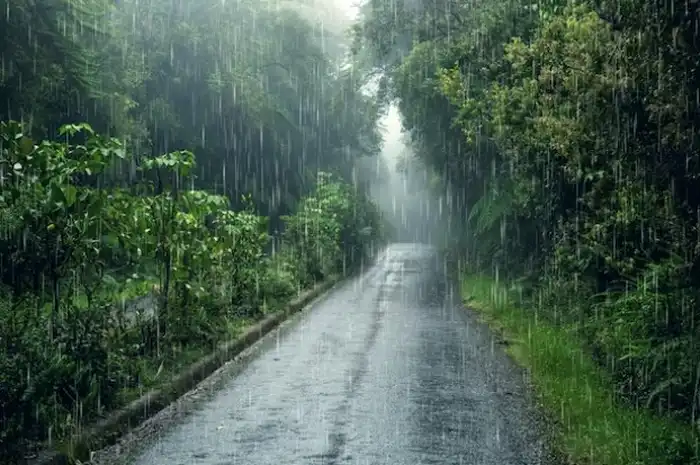 Daftar Wilayah Berpotensi Hujan pada 28 Februari-1 Maret 2025 - Sonora.id