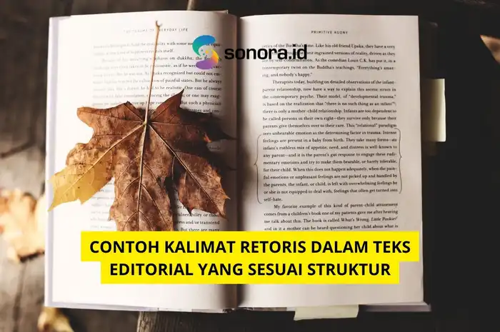 Contoh Kalimat Retoris dalam Teks Editorial yang Sesuai Struktur ...