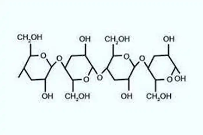Apa Saja Contoh Polisakarida? Simak Penjelasannya Berikut Ini - Sonora.id