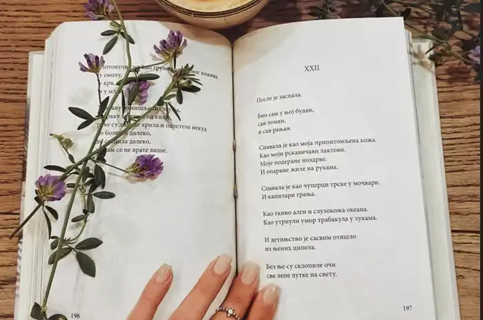 5 Contoh Puisi Prismatis, Lengkap dengan Pengertian dan Ciri-cirinya ...