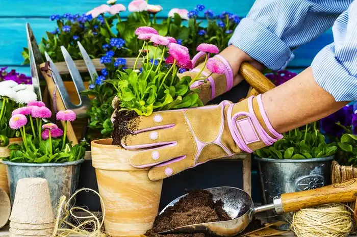 Manfaat Bunga untuk Kesehatan Mental dan Pentingnya Self Reward - Sonora.id