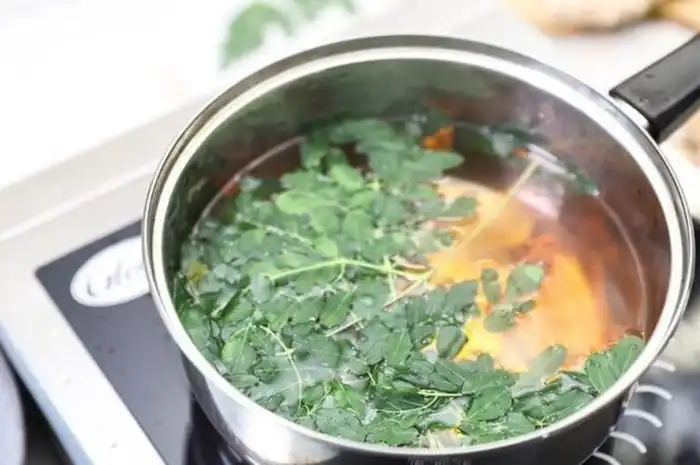 6 Manfaat Air Rebusan Daun Kelor untuk Kesehatan yang Luar Biasa ...