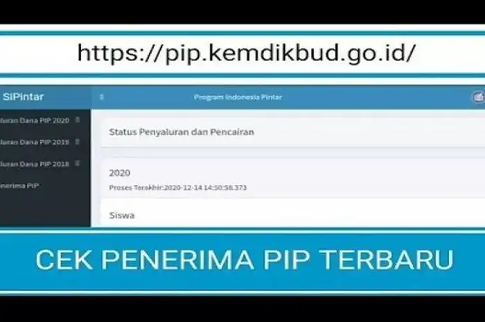 Cara Cek Penerima PIP 2024, Jumlah Besarannya dan Kriteria Penerimanya - Sonora.id
