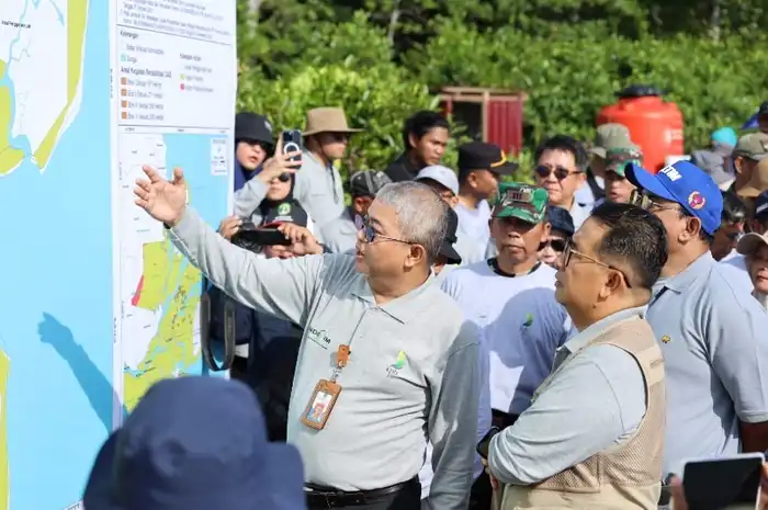 Asisten I Hadir Penanaman Mangrove Dan Penaburan Benih Udang Untuk ...