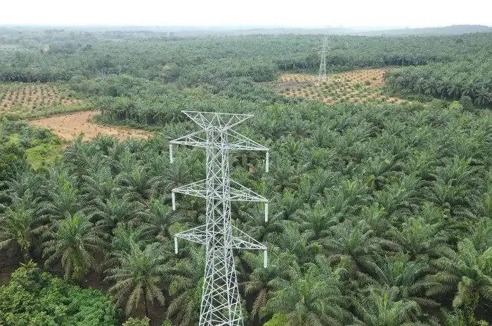 Proses Stringing Pembangunan SUTT 150 kV di Kendawangan-Sukamara ...