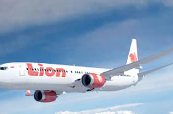 3 Cara Check In Online Lion Air di HP, Gak Perlu Antre di Bandara ...