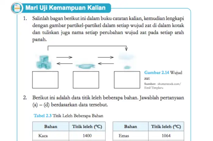 Kunci Jawaban IPA Kelas 7 Halaman 60 Kurikulum Merdeka, Uji Kemampuan ...