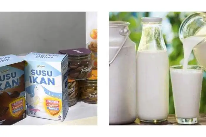 Apa Itu Susu Ikan? Simak Pengertian dan Penjelasannya Berikut Ini ...