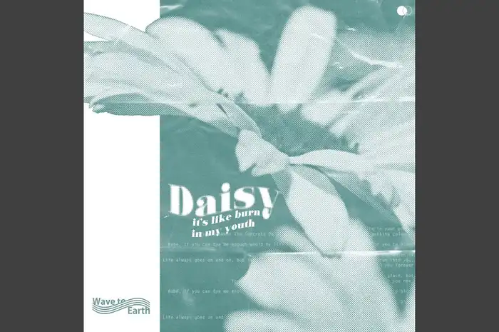 Lirik Lagu daisy. - wave to earth, Lengkap dengan Terjemahan - Sonora.id