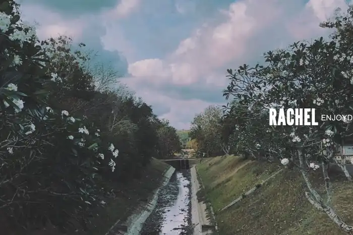 Lirik Lagu 'Rachel' oleh ENJOY DRINK ft. Yansoy - Sonora.id