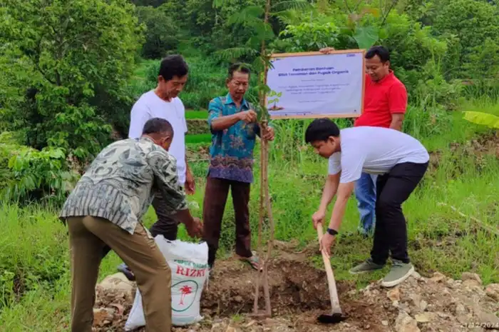 Menutup tahun 2024, BRI Life Laksanakan Serangkaian Kegiatan TJSL ...