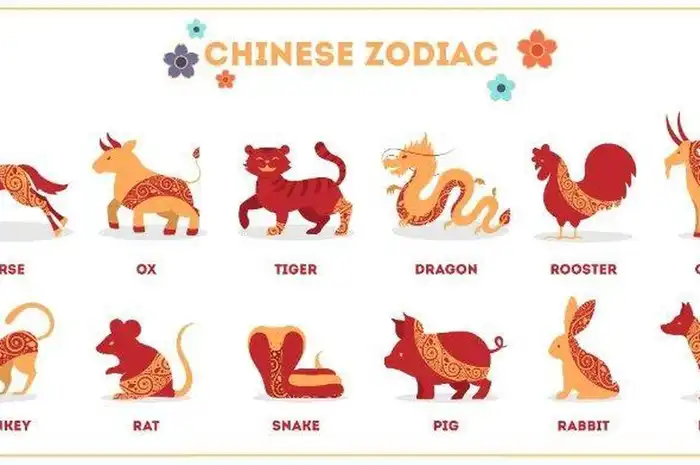Ramalan Shio Besok 5 Januari 2025: Shio Naga, Ular, Monyet, Anjing ...