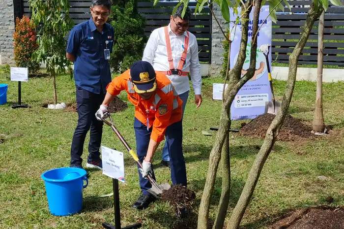 Cegah Erosi & Tingkatkan Kualitas Udara, KAI Kembali Tanam Pohon Di ...