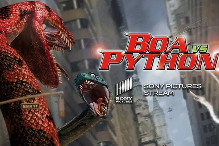 Sinopsis 'Boa vs. Phyton', Duel Ular Raksasa yang Mengguncang Kota ...