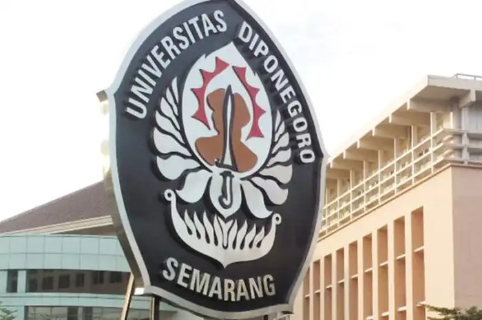 Nilai Rata-Rata Rapor SNBP UNDIP 2025 Semua Jurusan - Sonora.id
