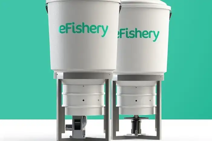 Dosen SBM ITB Sebut Kasus eFishery Coreng Startup Indonesia - Sonora.id