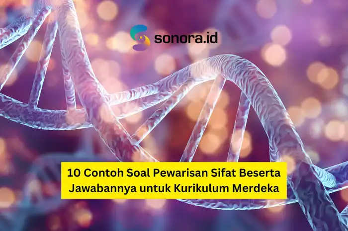 10 Contoh Soal Pewarisan Sifat Beserta Jawabannya untuk Kurikulum Merdeka - Sonora.id