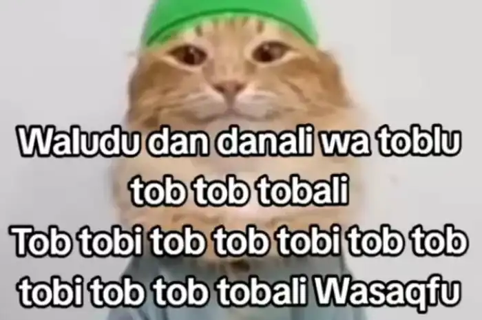 Lirik Terjemahan dan Makna Syair 'Tob Tobi Tob' (Sawt Al-Safiri Al-Bulbuli) yang Viral di TikTok ...