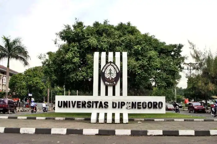 Skor UTBK SNBT UNDIP 2025, Paling Lengkap Semua Jurusan! - Sonora.id
