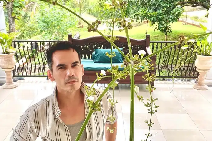 Profil Atalarik Syah, Artis Senior yang Terseret Kasus Sengketa Tanah ...