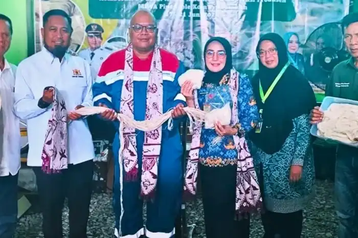 Prabumulih Dorong Inovasi Serat Nanas, Pelatihan Pembuatan Staple Fiber ...