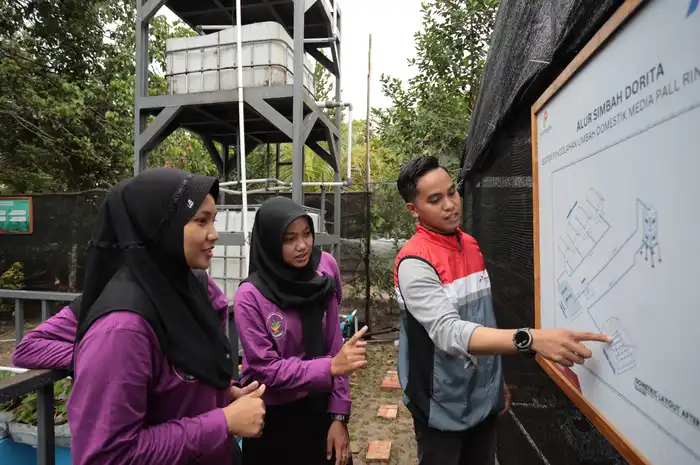 PHE Jambi Merang Wujudkan TJSL Berkelanjutan: Dari Budidaya Lebah ...