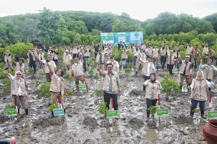 Wamen Kehutanan Resmi Kick Off Mangrofest 2025 di Alas Purwo, Targetkan Rehabilitasi 41 Ribu ...