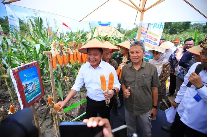 Gubernur Herman Deru Dorong Peningkatan Produksi Pertanian, Sumsel Masuk 5 Besar Nasional ...