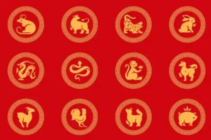 Ramalan Shio Besok 22 November 2025: Shio Naga, Ular, Monyet, Anjing ...