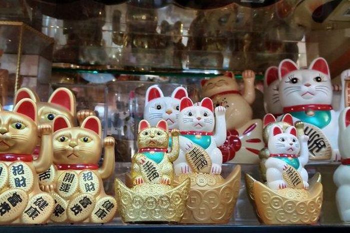 Mengenal Simbol Kucing Keberuntungan Menurut Fengshui, Benarkah Membawa ...
