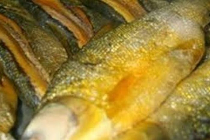 Tidak Hanya dari Semarang, Yuk Kenali Bandeng Presto Bagok Asal Aceh ...