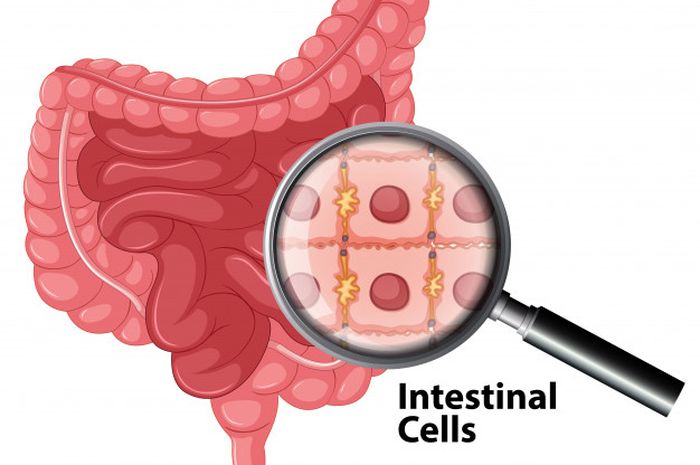 Kenali TB Usus, Penyakit yang Merenggut Nyawa Ustadz Maaher At Thuwailibi - Sonora.id