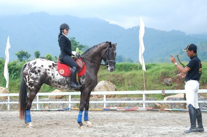 Menikmati Destinasi Wisata Berkuda di Sentosa Stable Boja, Jateng ...