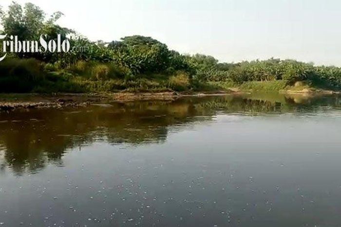 Sungai Bengawan Solo Terindikasi Tercemar, PDAM Berhentikan Sementara ...