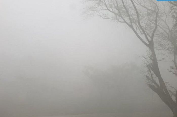 Kabut Tebal Pagi Ini Murni Uap Air Bukan Asap - Sonora.id
