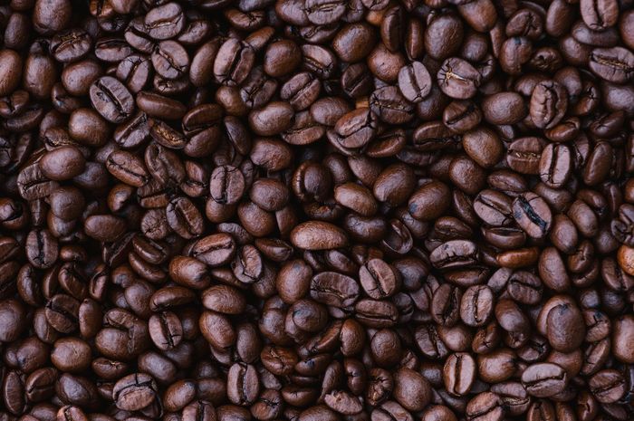 PT Perkebunan Nusantara III Dukung Kemajuan Industri Kopi Nusantara ...