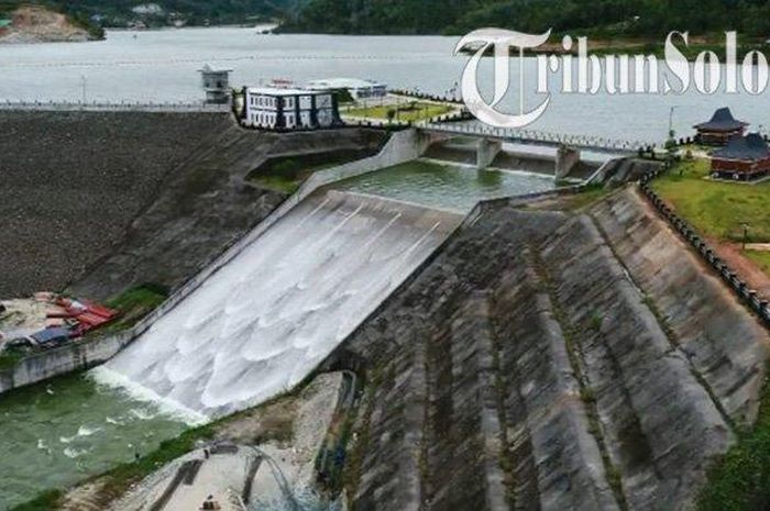 8 Contoh Ekosistem Buatan dan Manfaatnya Bagi Lingkungan Hidup - Sonora.id