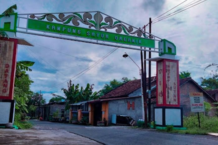 Bikin Masyarakatnya Sehat Sentosa, Ini Dia Kampung Sayur Organik ...