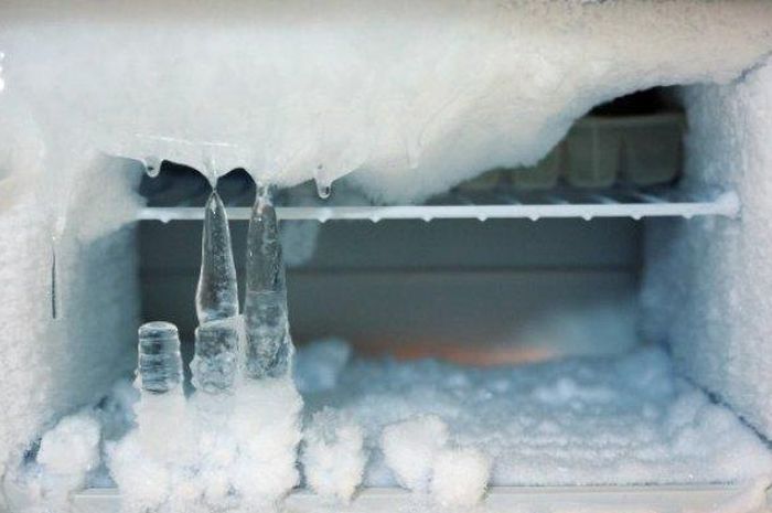 7 Cara Mencairkan Bunga Es Tanpa Mencabut Colokan Listrik Kulkas ...