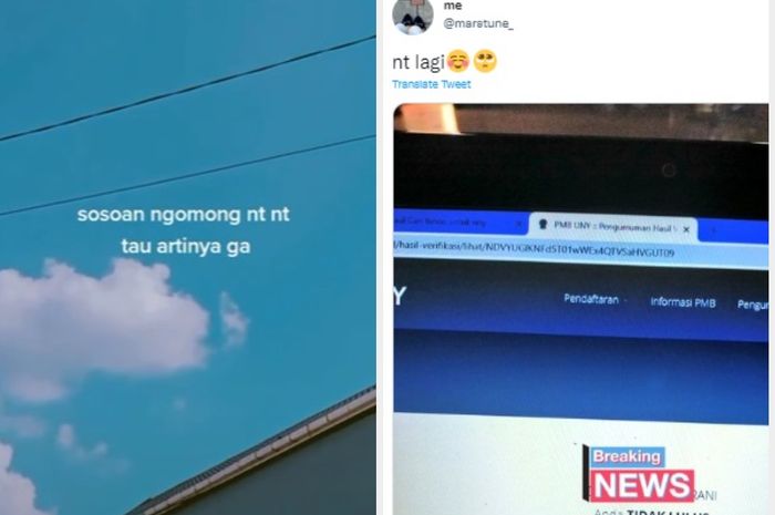 Kamus Gaul: Arti Kata 'NT' yang Viral di TikTok dan Twitter - Sonora.id