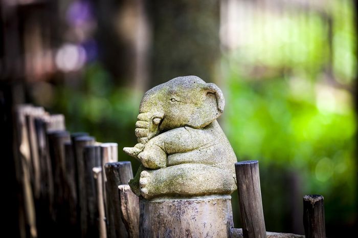 4 Penempatan Simbol Gajah Menurut Feng Shui untuk Hadirkan Masa Emas ...
