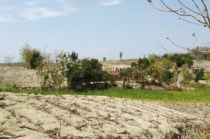 Kapan Puncak Musim Kemarau di Indonesia? Ini Menurut BMKG - Sonora.id