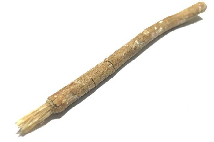 Mengenal Apa itu Siwak? Bisa Jaga Warna Putih Alami pada Gigi? - Sonora.id