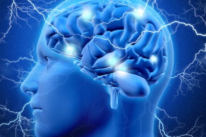 11 Perbedaan Saraf Simpatik dan Parasimpatik beserta Penjelasannya ...