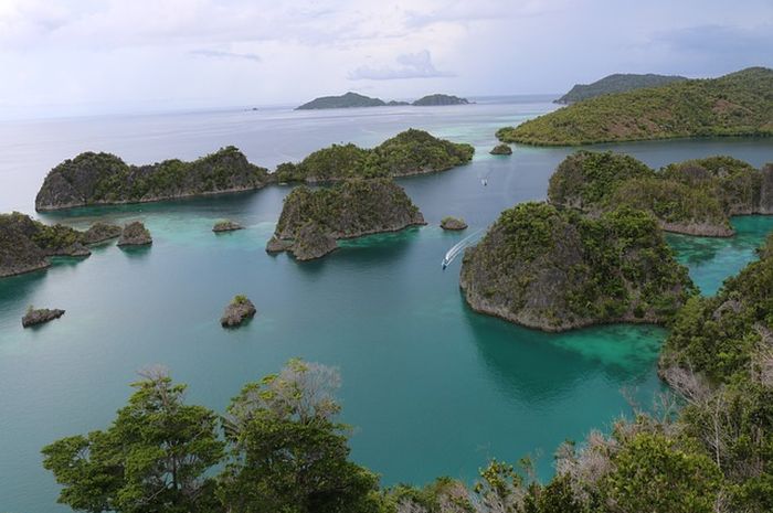 Kondisi Geografis Pulau Papua dan Maluku Menurut Peta: Letak, Luas, dan ...