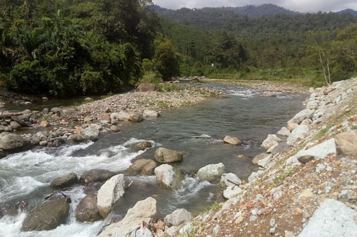 Mengenal Lulun Samak, Hantu Lokal Si Penunggu Sungai - Sonora.id