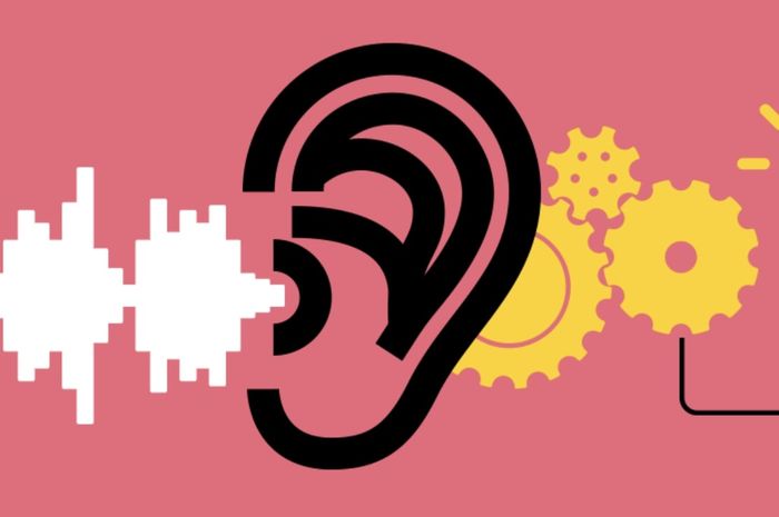 Proses Terjadinya Bunyi: Pengertian, Jenis, dan Syaratnya - Sonora.id