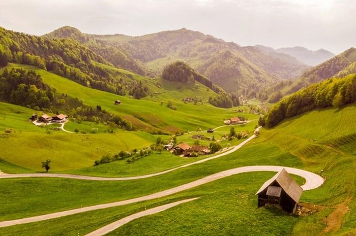 Jenis-jenis Lingkungan Beserta Penjelasannya, LENGKAP! - Sonora.id