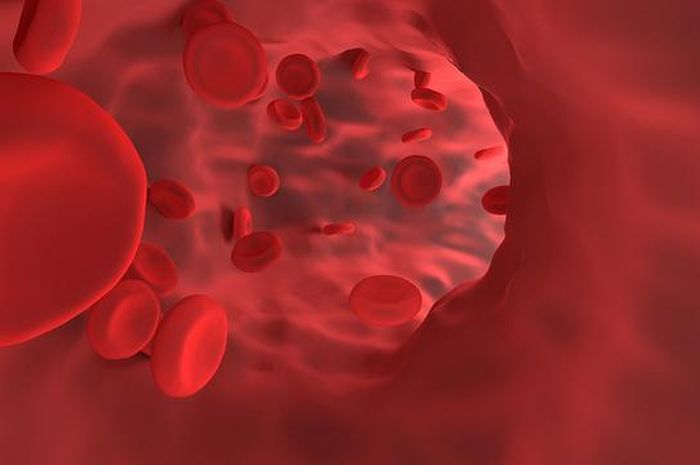 Segini Kadar Trombosit Normal dalam Tubuh Manusia, Catat Ya! - Sonora.id